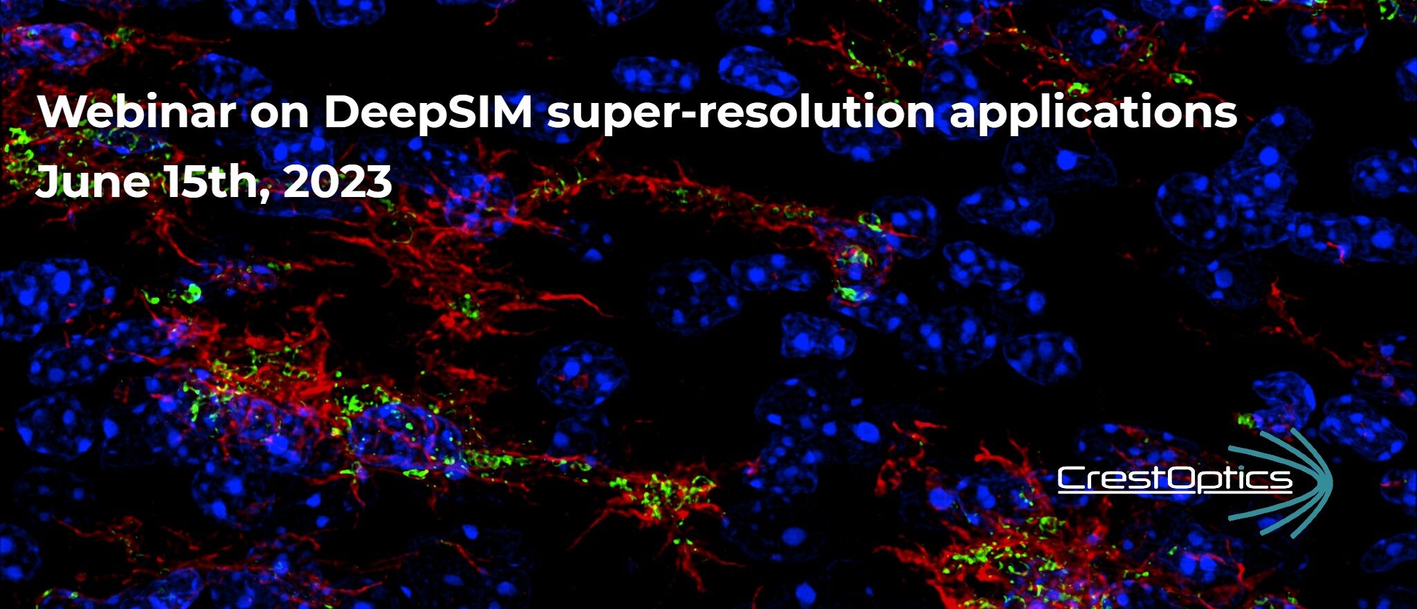 Expanding super-resolution applications with DeepSIM: unlocking hidden ...